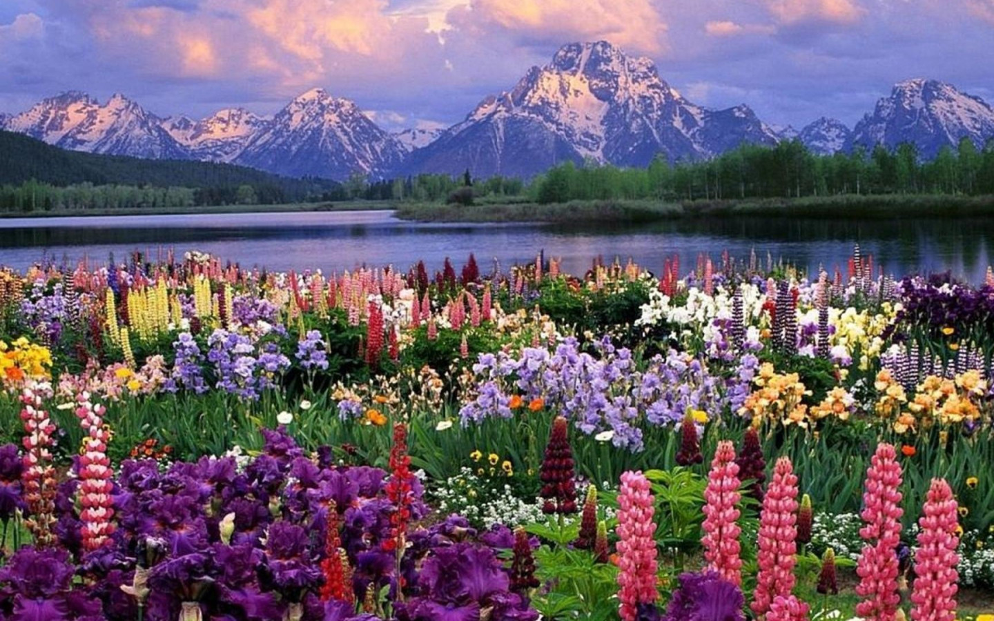 Nature Spring PC Wallpapers - Wallpaper Cave