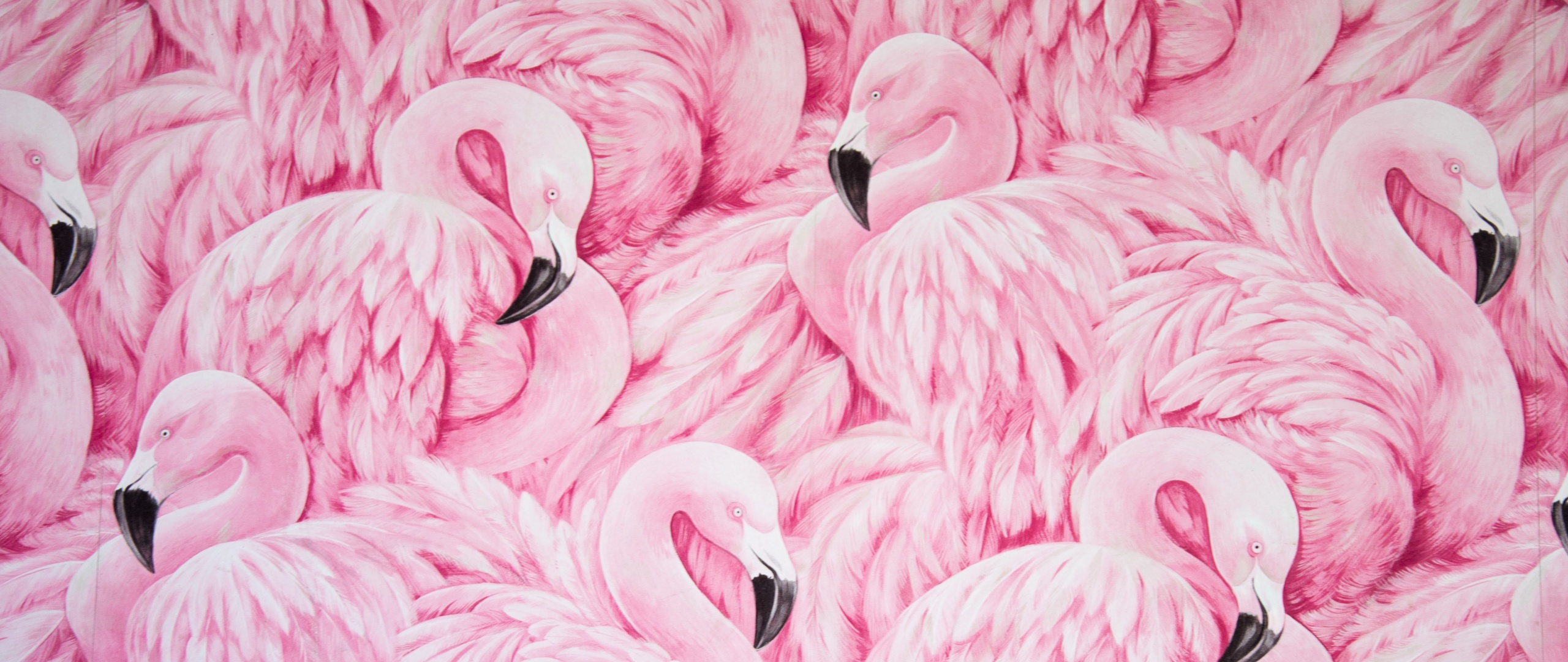 Flamingo Desktop Wallpapers - Wallpaper Cave