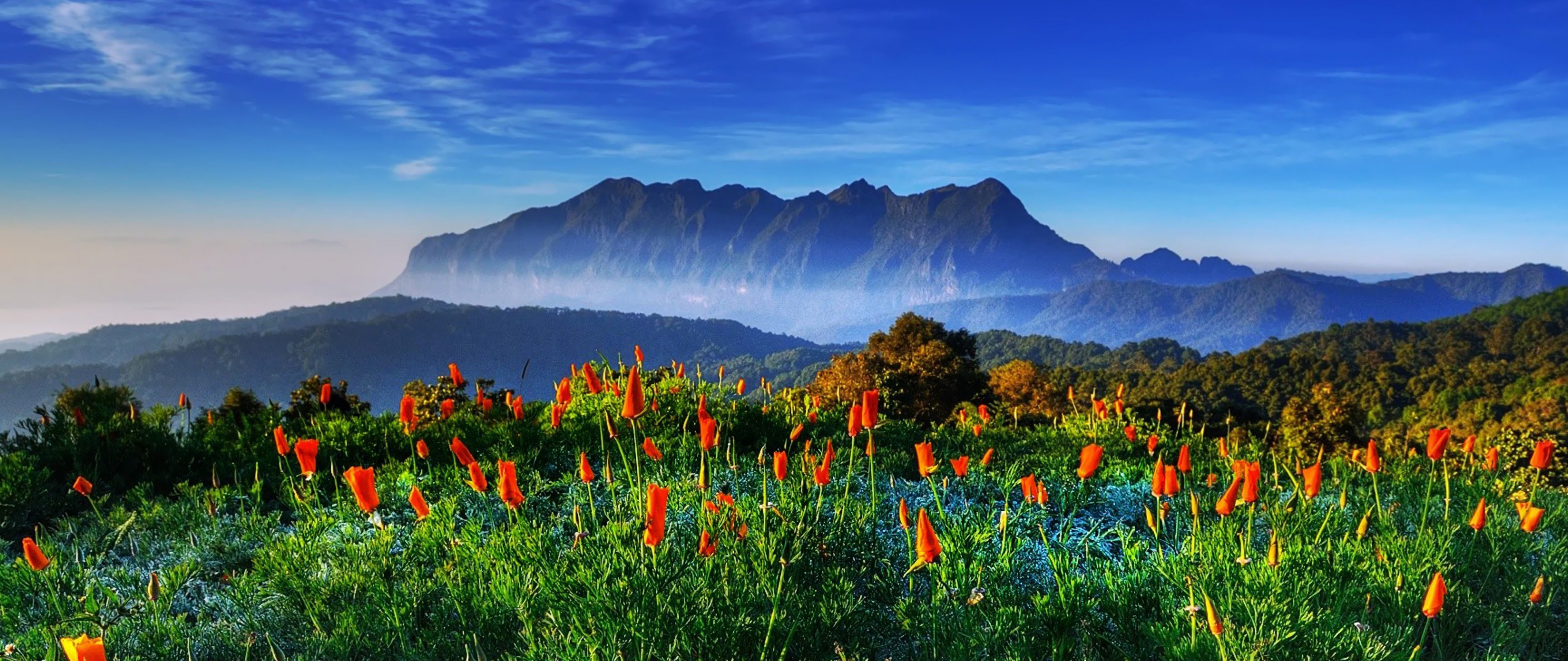 4k Spring Mountains Wallpapers - Wallpaper Cave