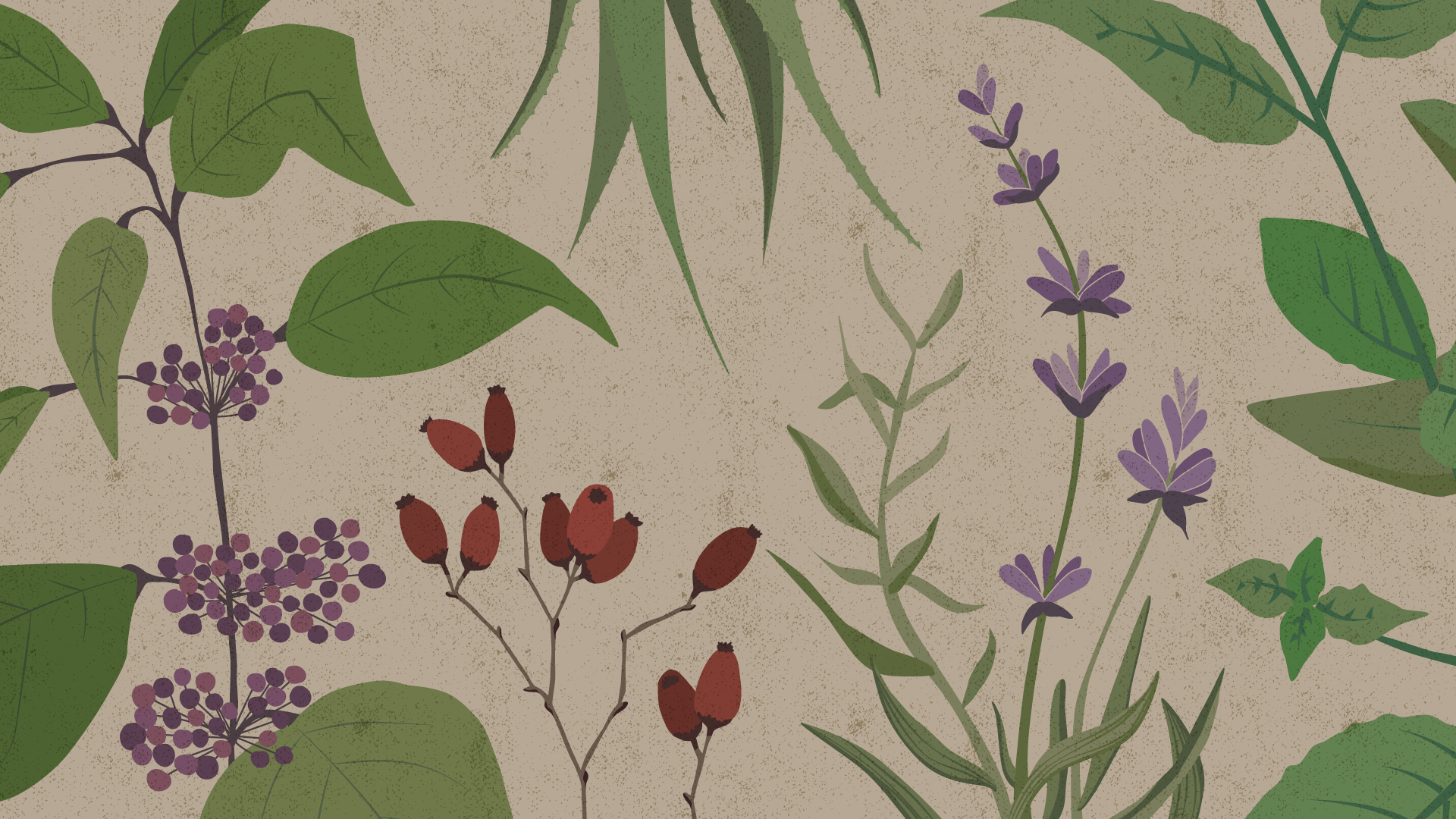 Green Spring Computer Wallpapers - Wallpaper Cave