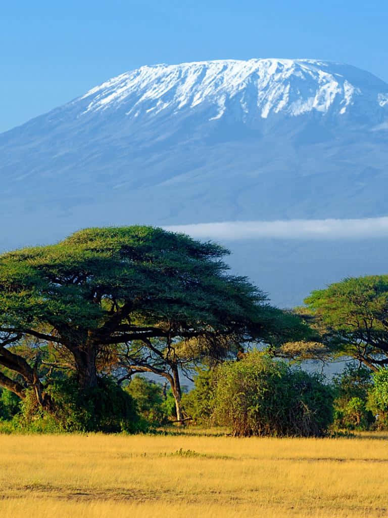 Mount Kilimanjaro Wallpapers - Wallpaper Cave