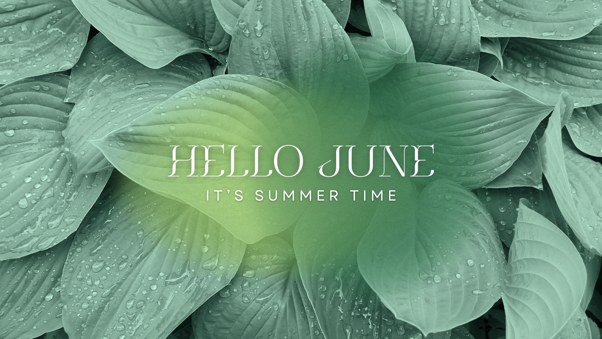 June Laptop Wallpapers - Wallpaper Cave