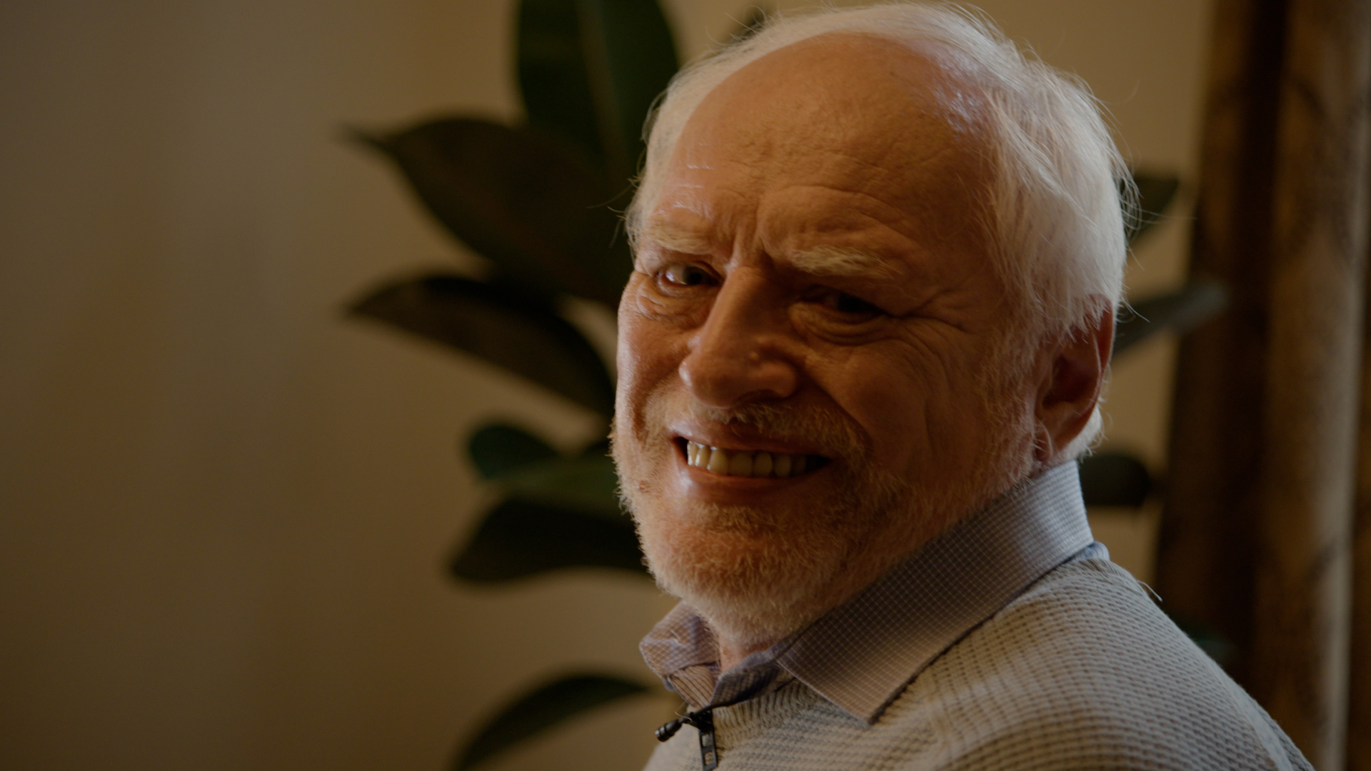 Hide The Pain Harold Wallpapers - Wallpaper Cave