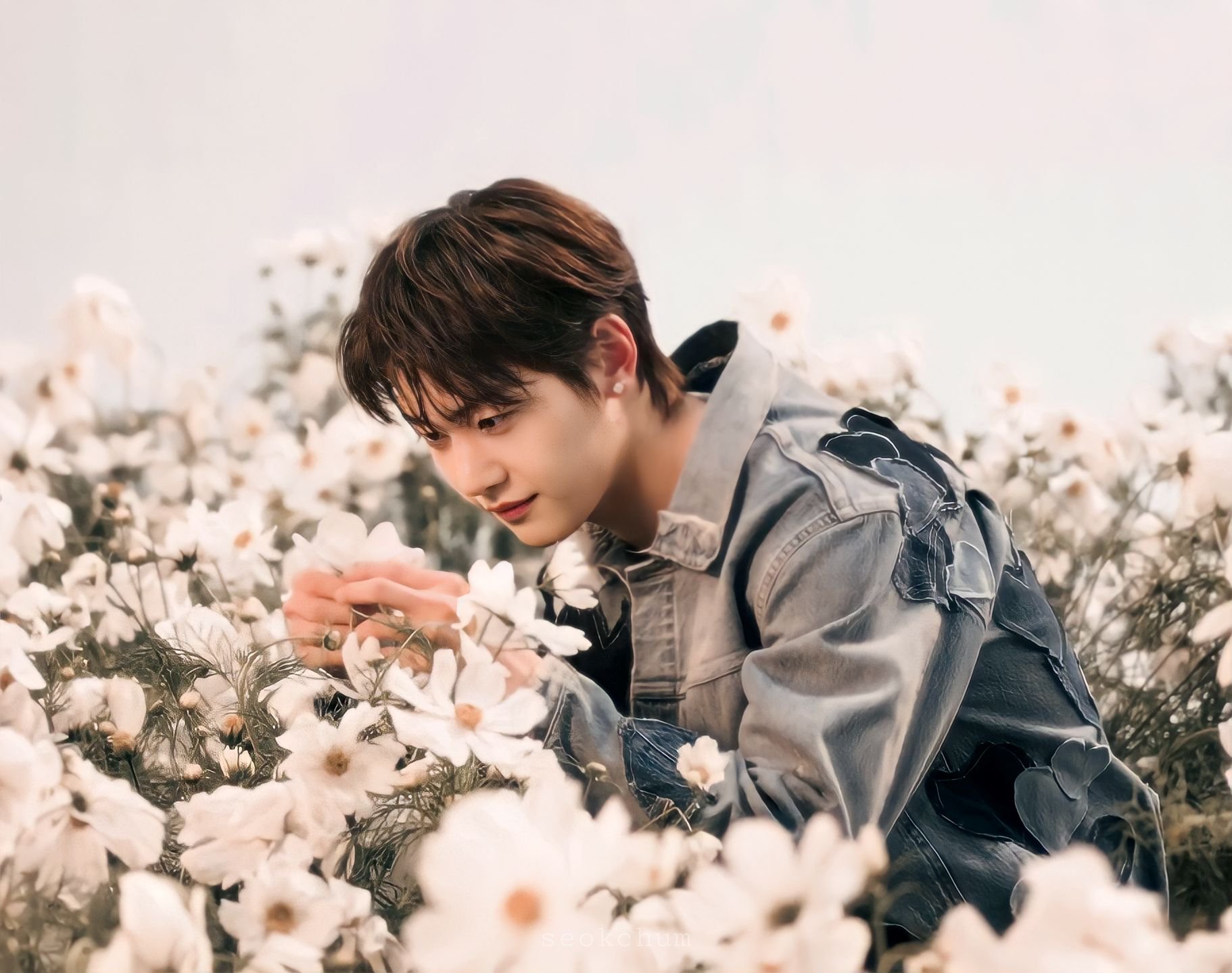 Seok Matthew Wallpapers - Wallpaper Cave