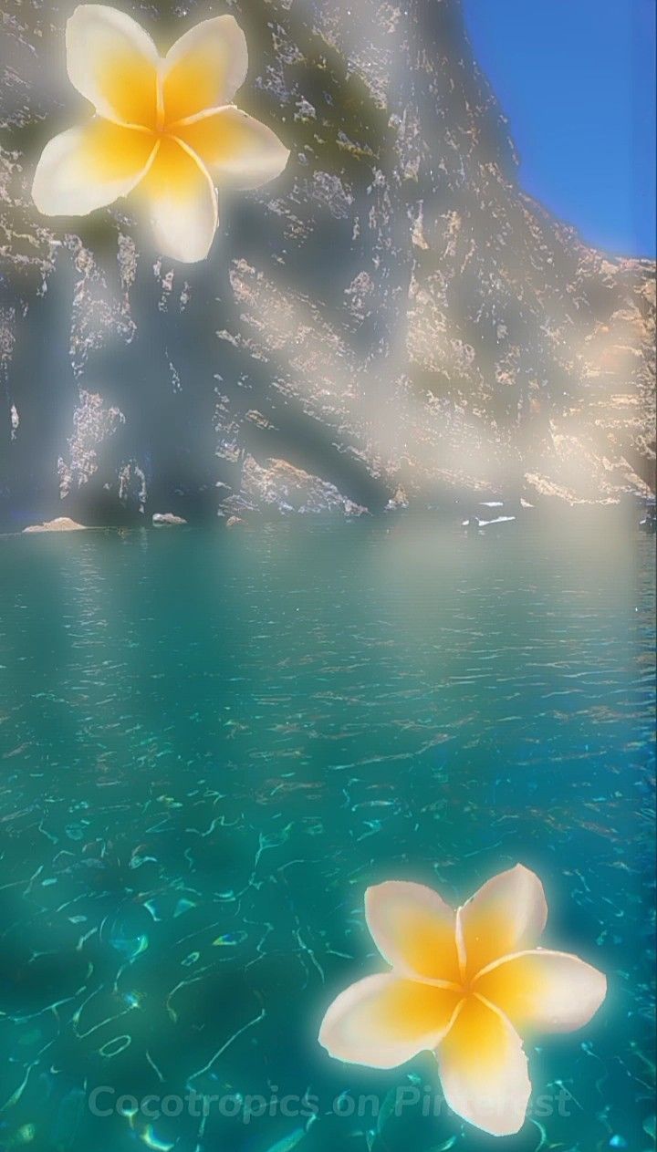 Tropicalcore Wallpapers - Wallpaper Cave