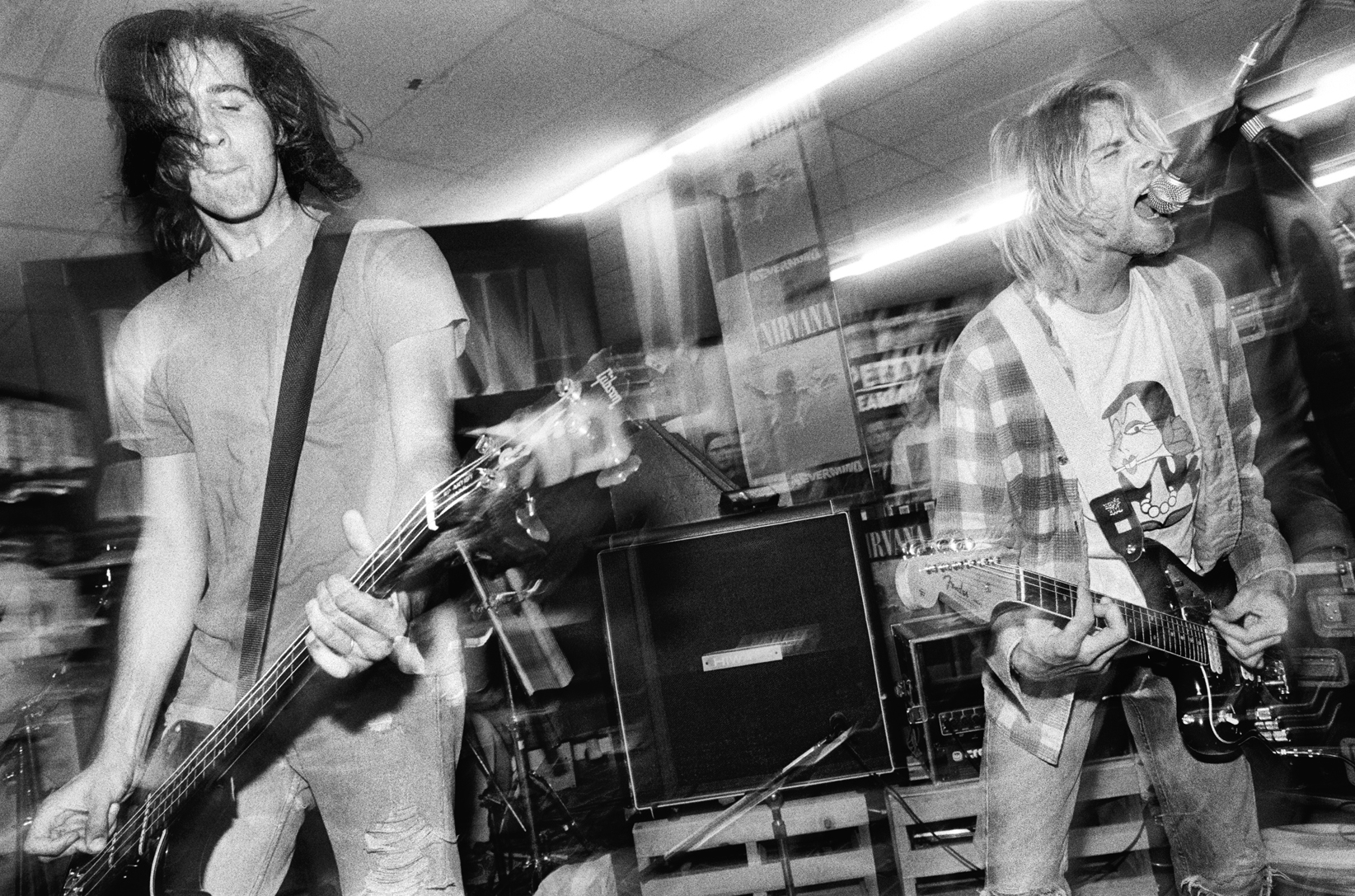 Krist Novoselic Wallpapers - Wallpaper Cave