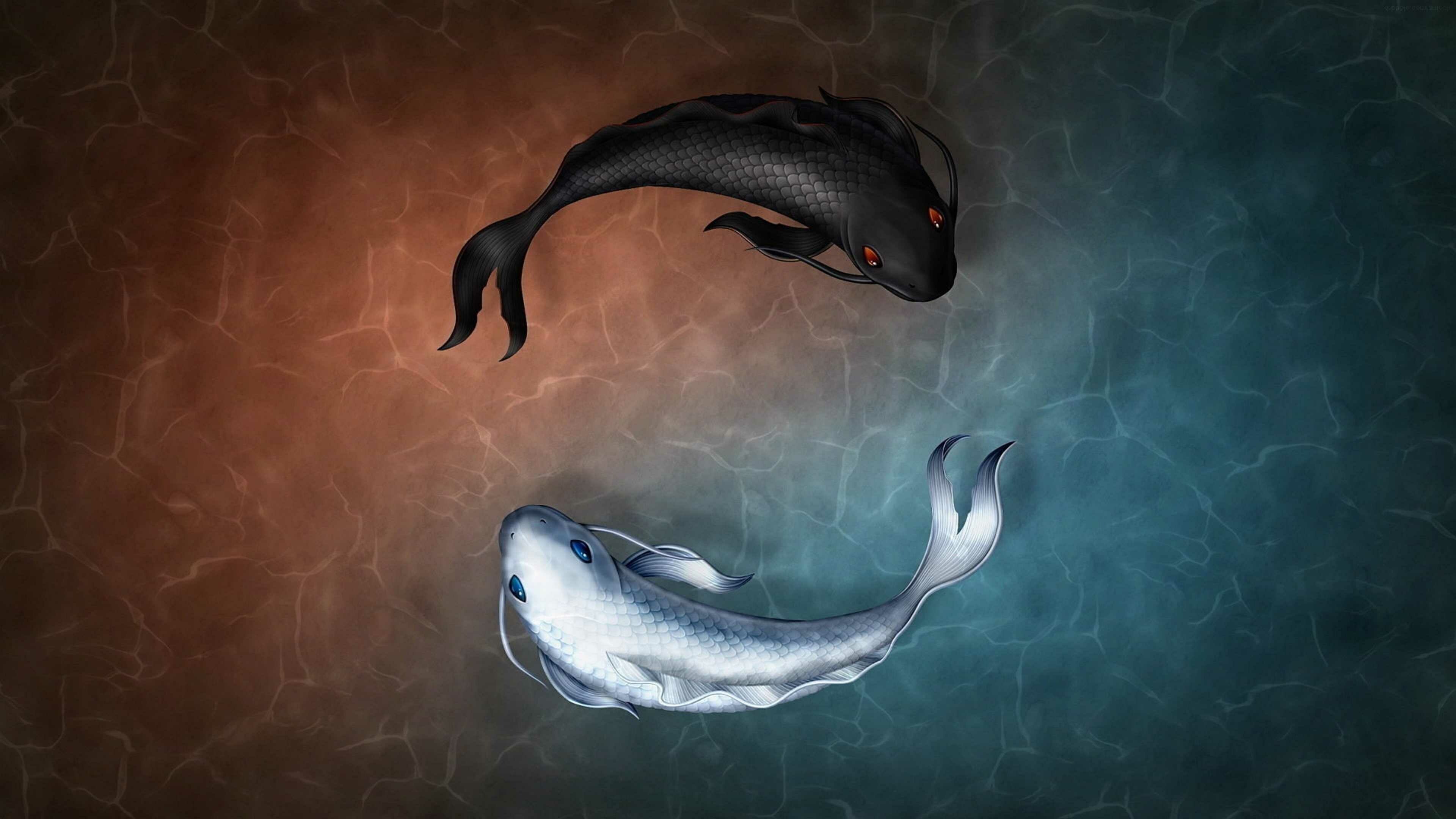 Fish PC Wallpapers - Wallpaper Cave