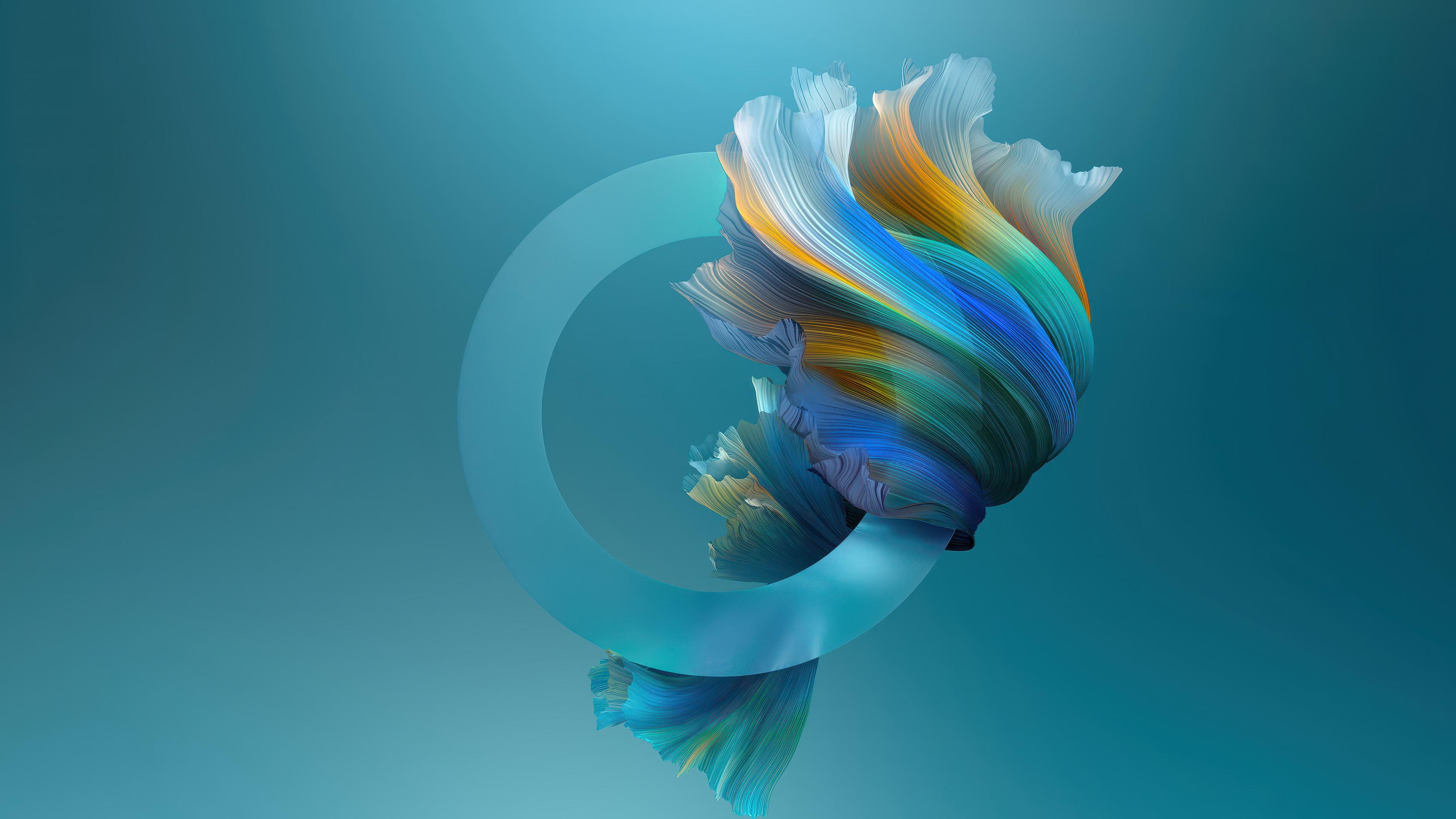 Fish PC Wallpapers - Wallpaper Cave