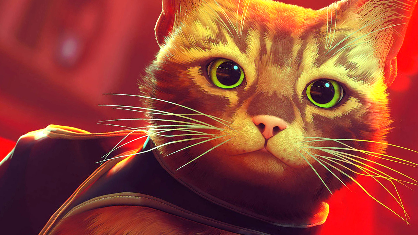 PS4 Aesthetic Cat Wallpapers - Wallpaper Cave
