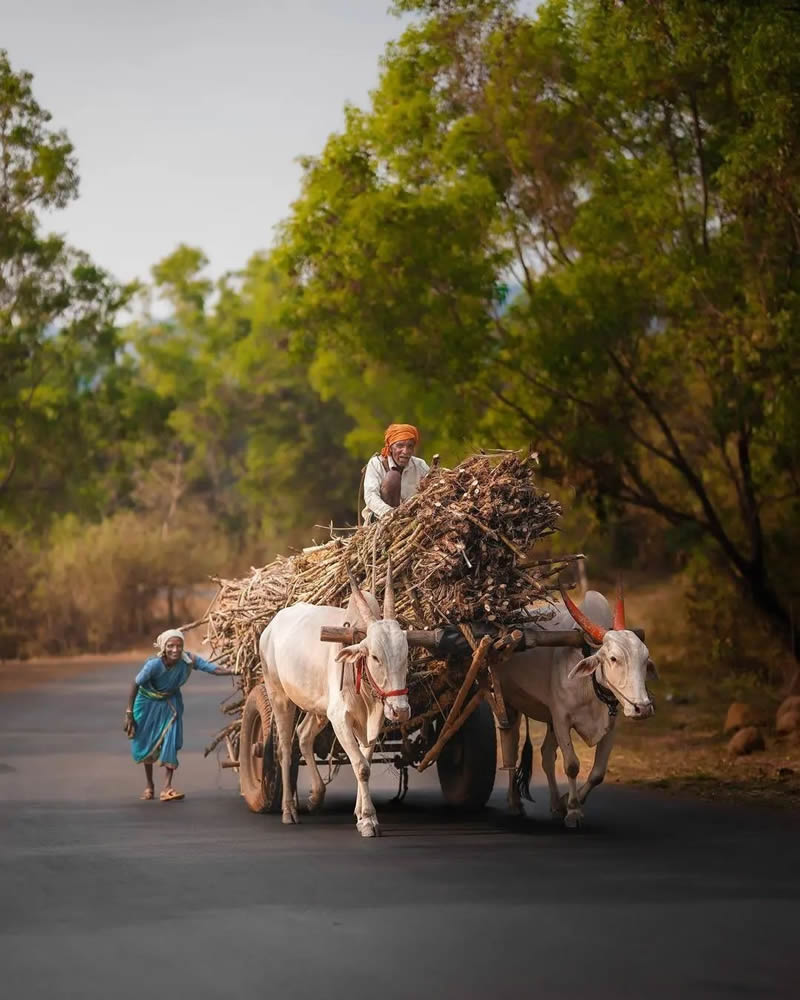Rural India Wallpapers - Wallpaper Cave