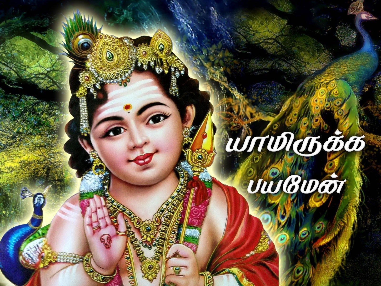 Om Muruga Wallpapers - Wallpaper Cave