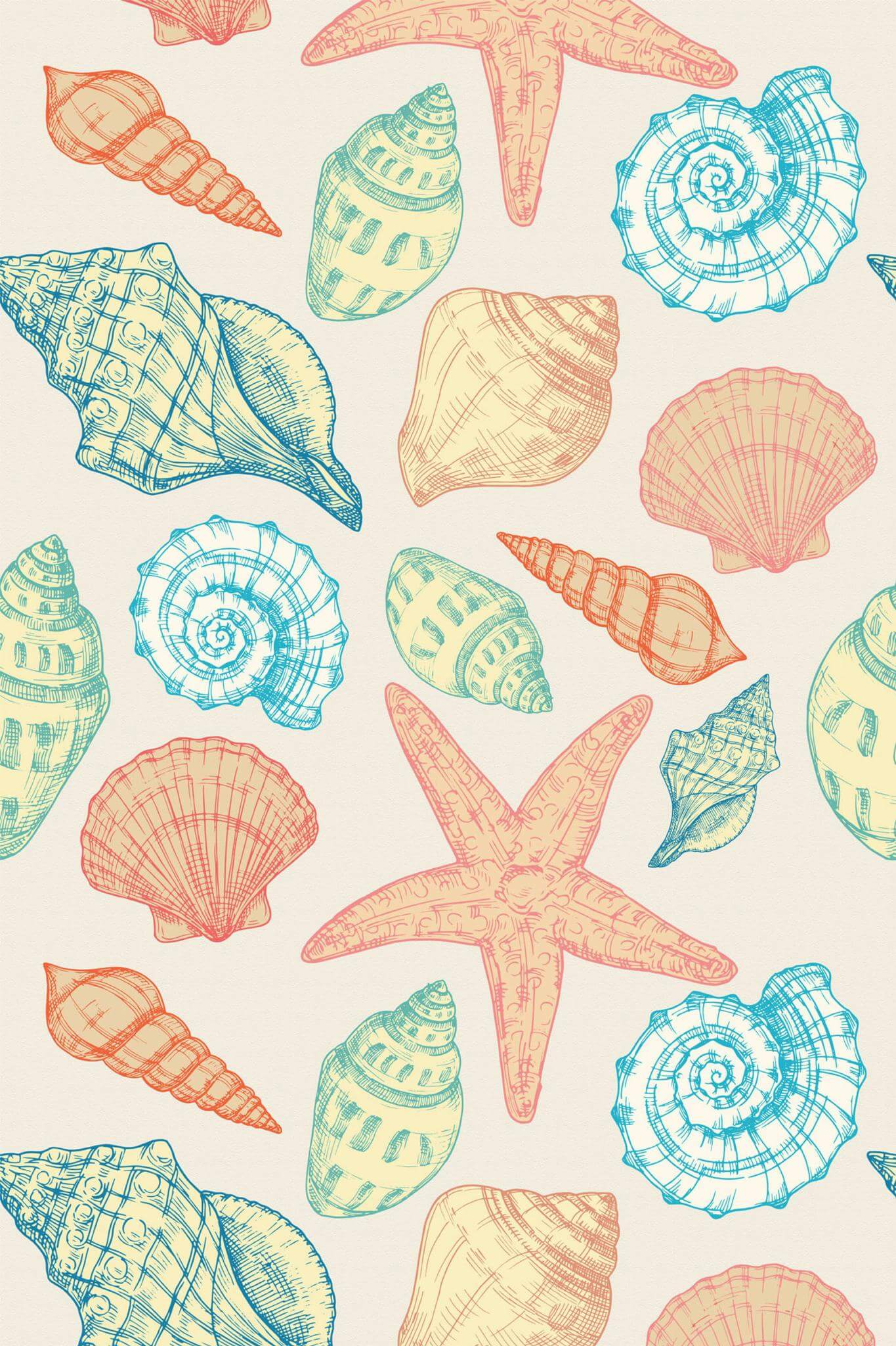 Aesthetic Seashells Wallpapers - Wallpaper Cave