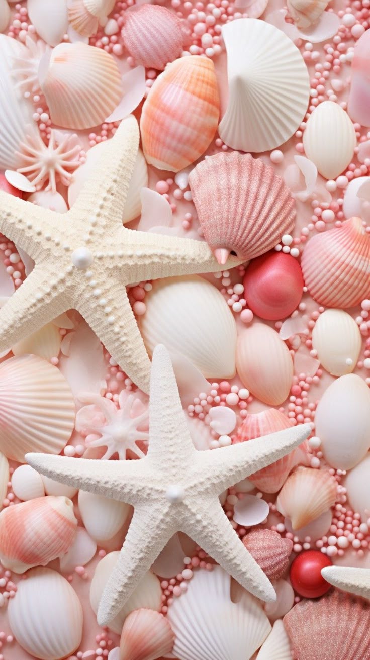 Aesthetic Seashells Wallpapers - Wallpaper Cave