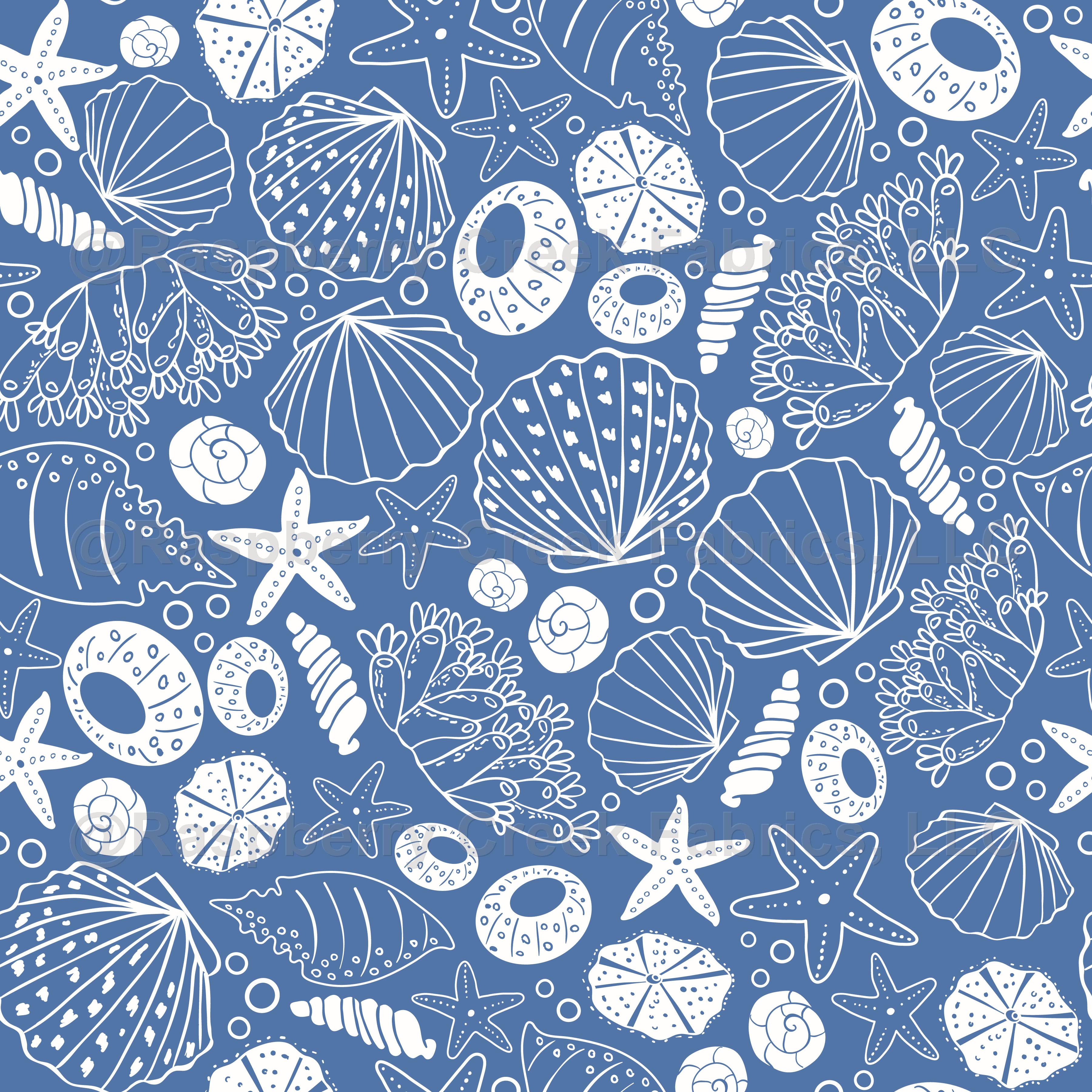 Aesthetic Seashells Wallpapers - Wallpaper Cave
