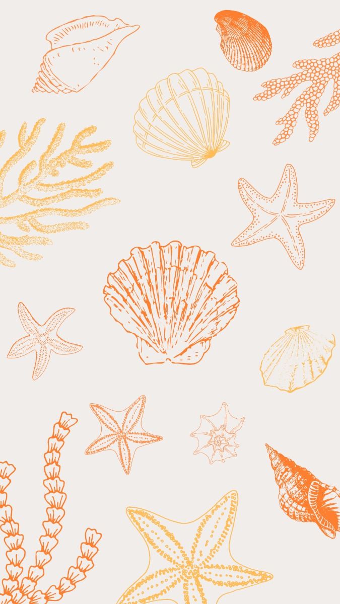 Aesthetic Seashells Wallpapers - Wallpaper Cave