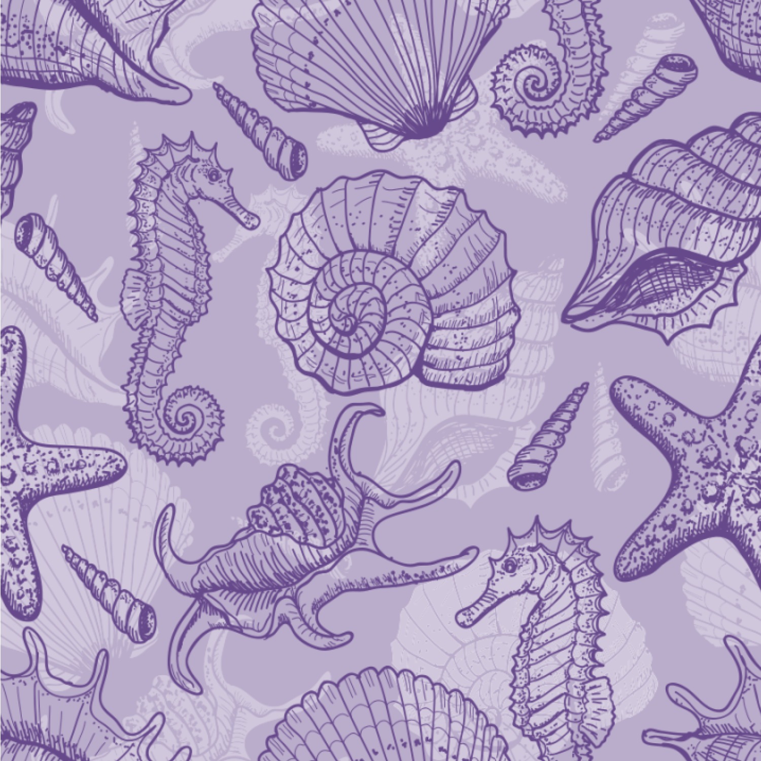 Aesthetic Seashells Wallpapers - Wallpaper Cave