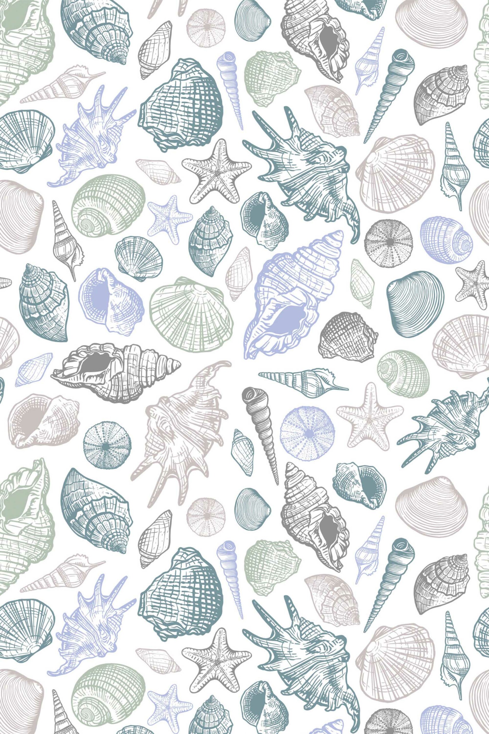 Aesthetic Seashells Wallpapers - Wallpaper Cave