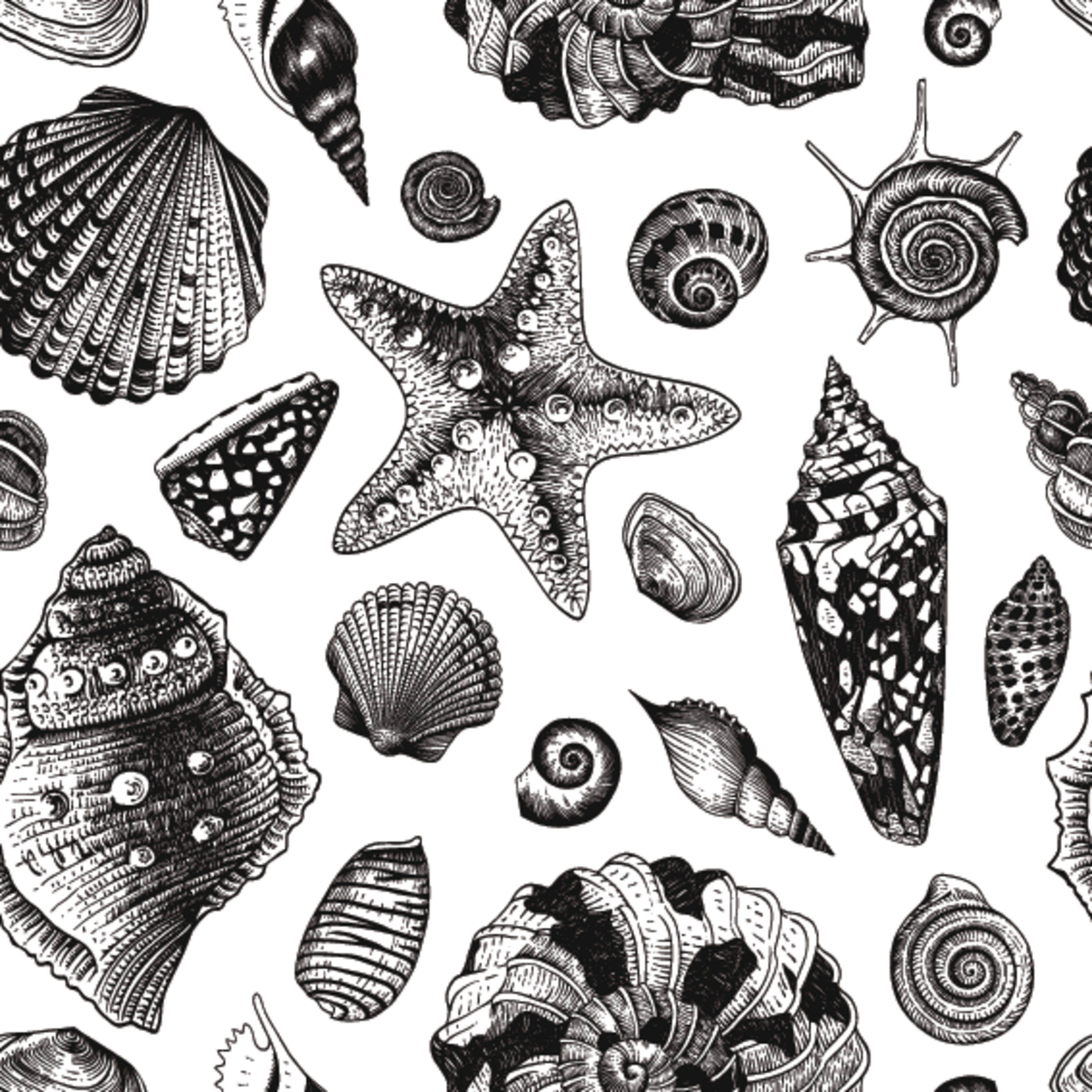 Aesthetic Seashells Wallpapers - Wallpaper Cave