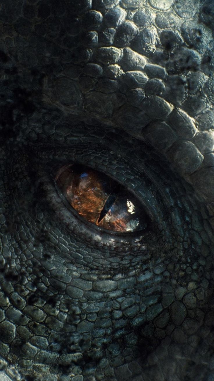 Indominus Rex Eye Wallpapers - Wallpaper Cave