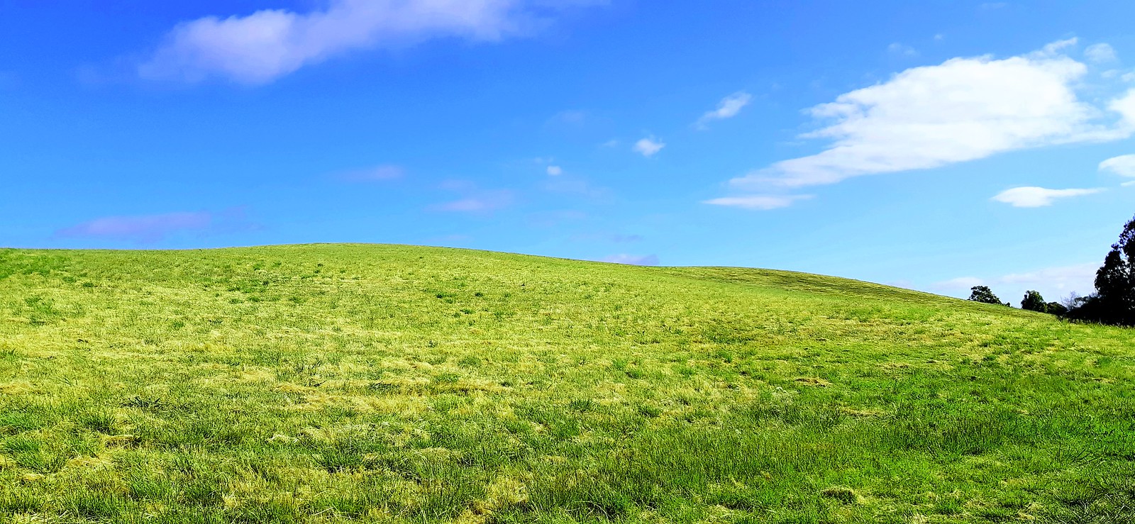 Windows Hill Wallpapers - Wallpaper Cave