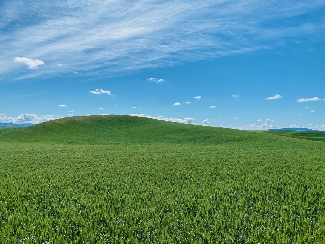 Windows Hill Wallpapers - Wallpaper Cave