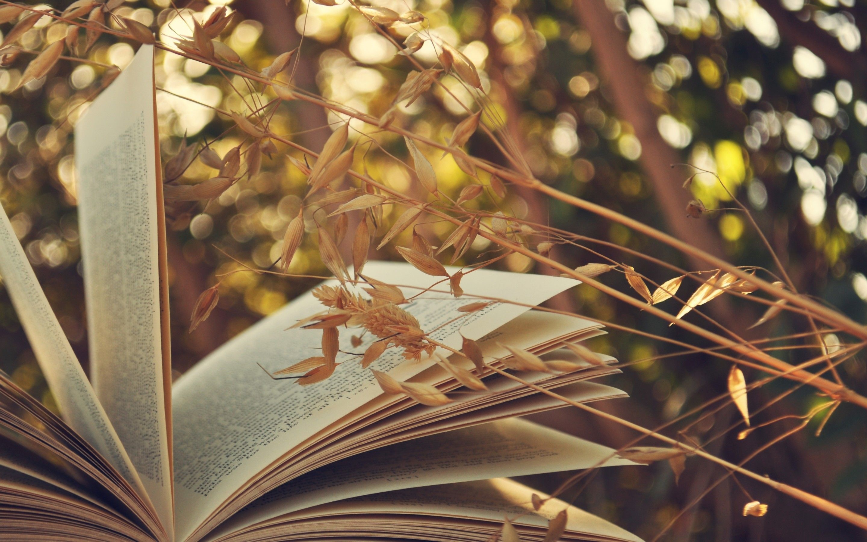 Bookish Desktop Wallpapers - Wallpaper Cave