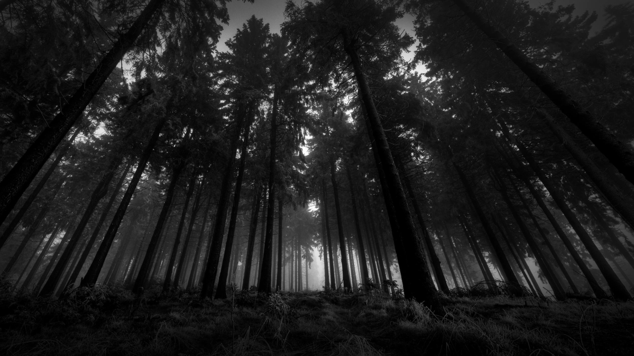 Breakcore Desktop Wallpapers - Wallpaper Cave