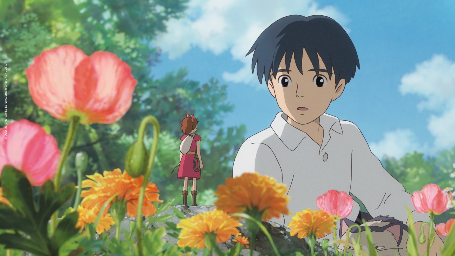 Summer Studio Ghibli Wallpapers - Wallpaper Cave