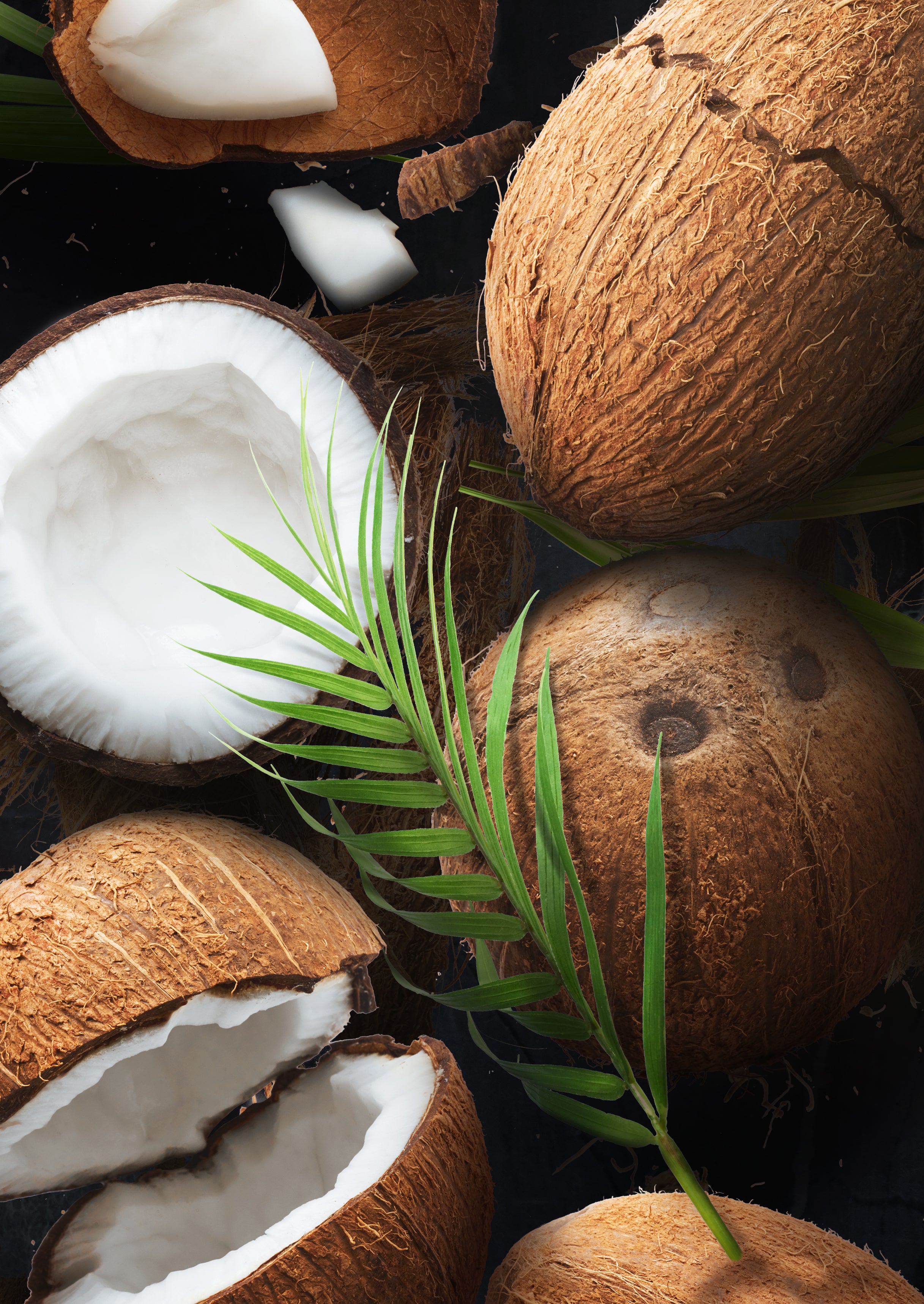 Coconut 4k Wallpapers - Wallpaper Cave