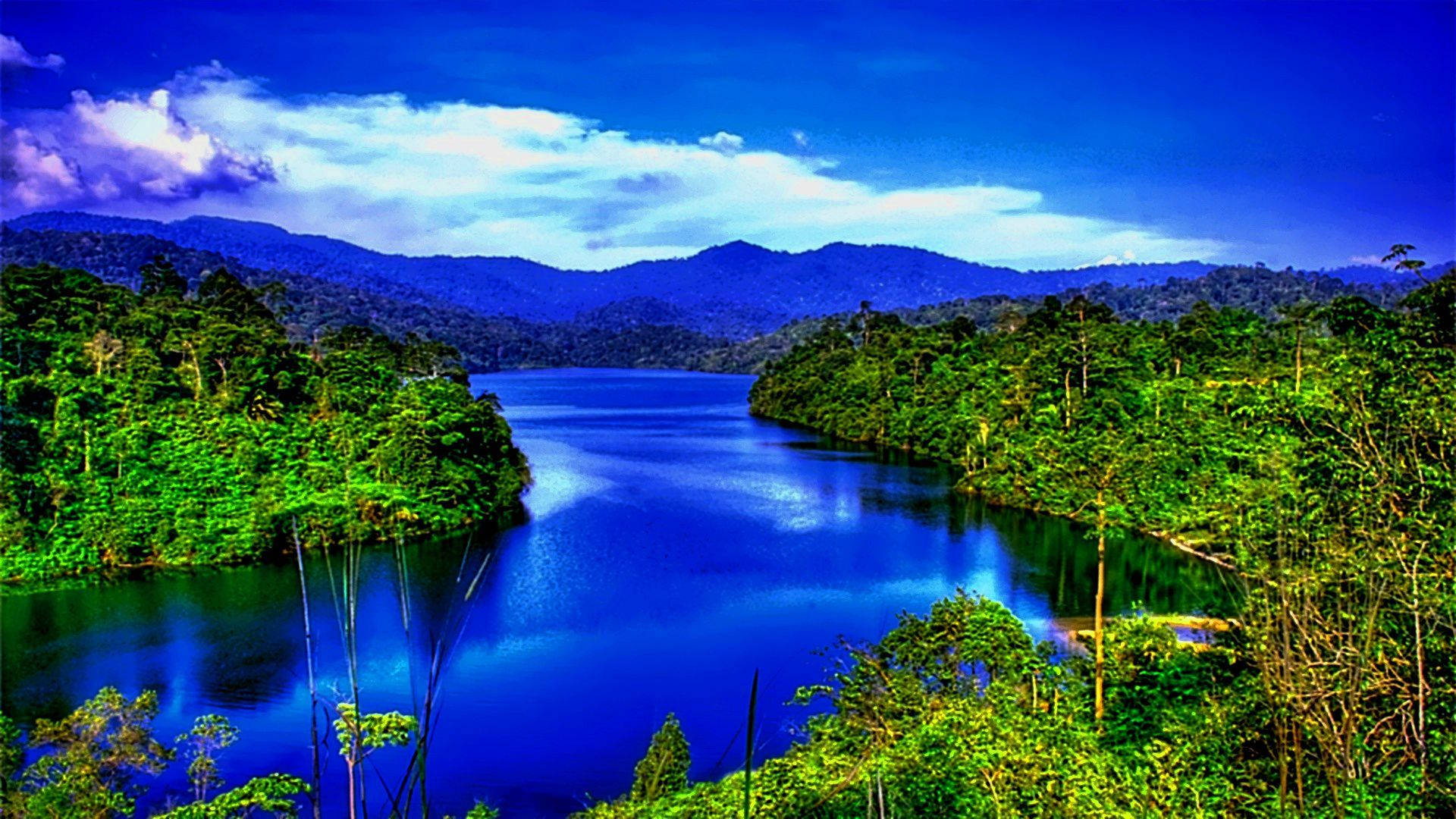 Rainforest Desktop Wallpapers - Wallpaper Cave