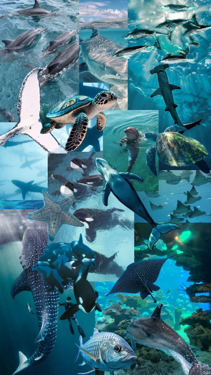 Biology Mobile Wallpapers - Wallpaper Cave