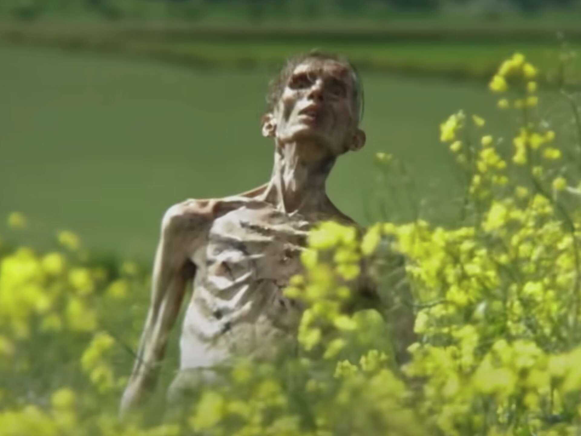 28 Years Later Wallpapers - Wallpaper Cave