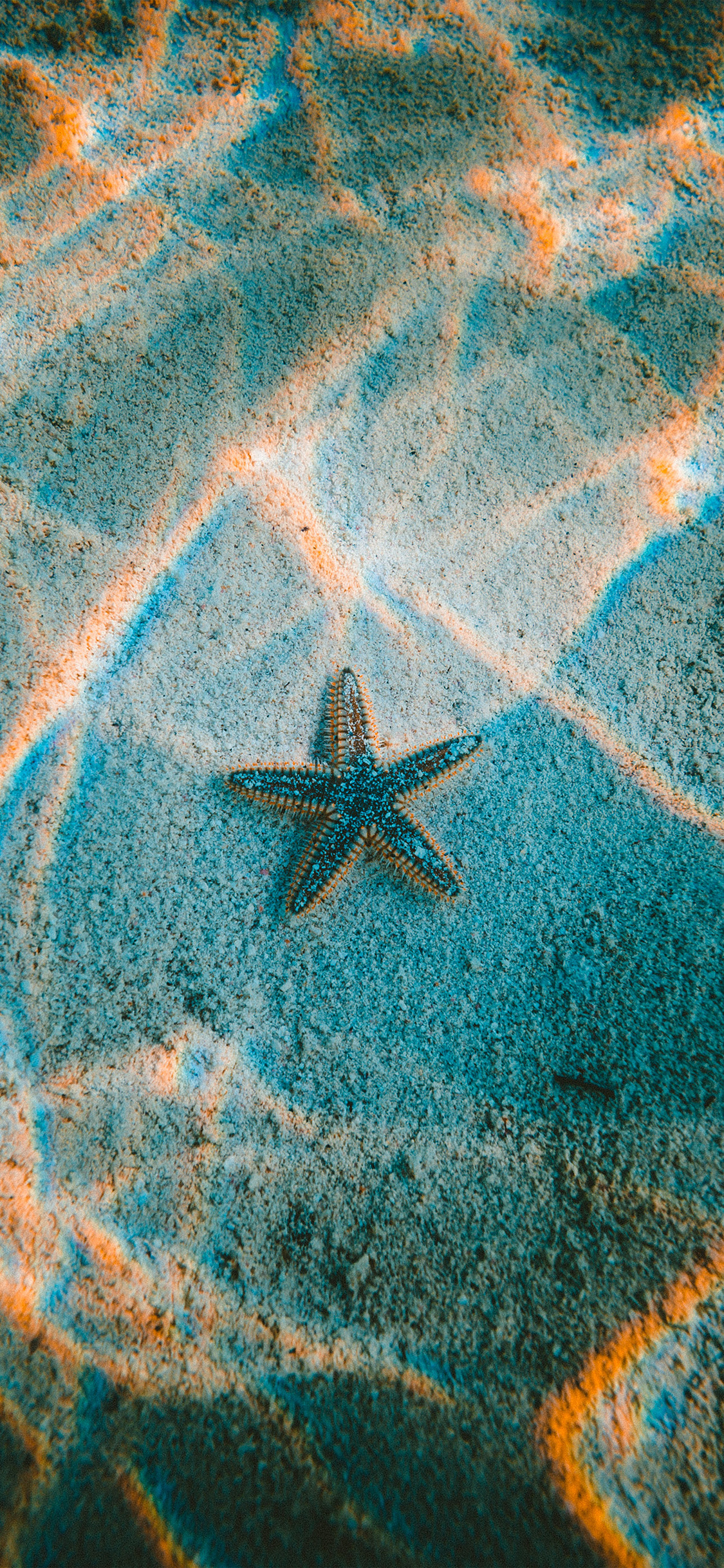 Starfish Wallpapers - Wallpaper Cave