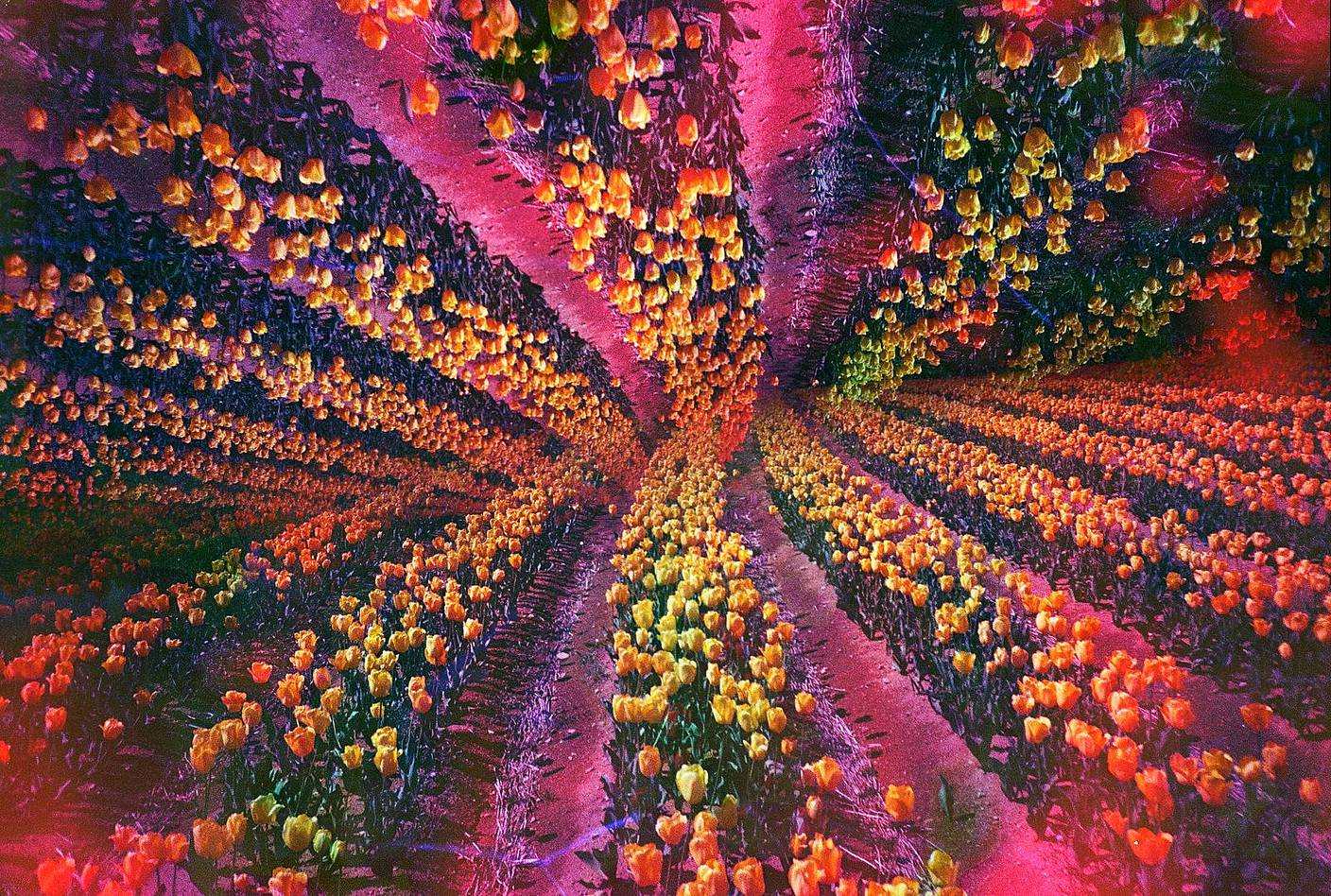 Experimental Photography Wallpapers - Wallpaper Cave