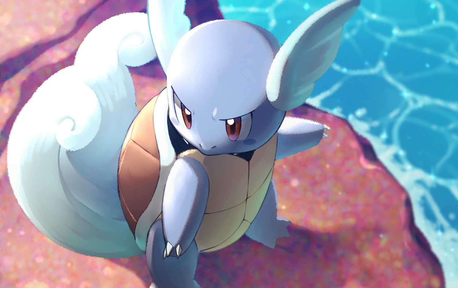 Wartortle Wallpapers - Wallpaper Cave