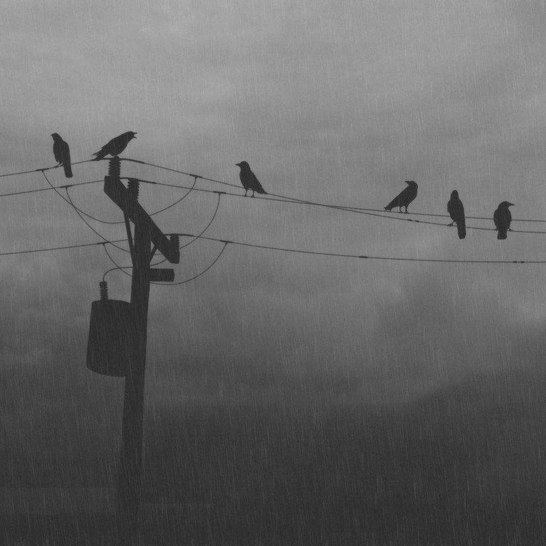 Decalius Wallpapers - Wallpaper Cave