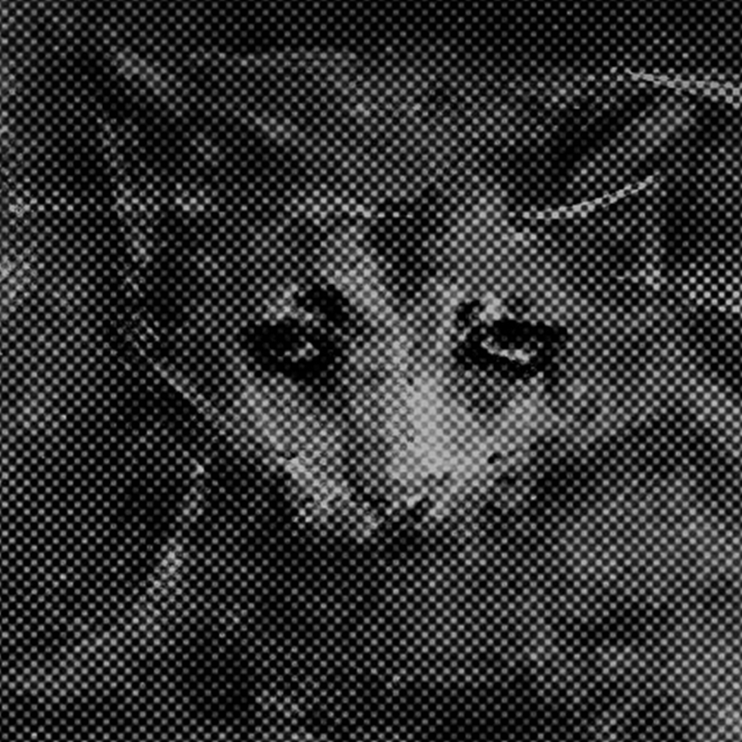 Decalius Wallpapers - Wallpaper Cave