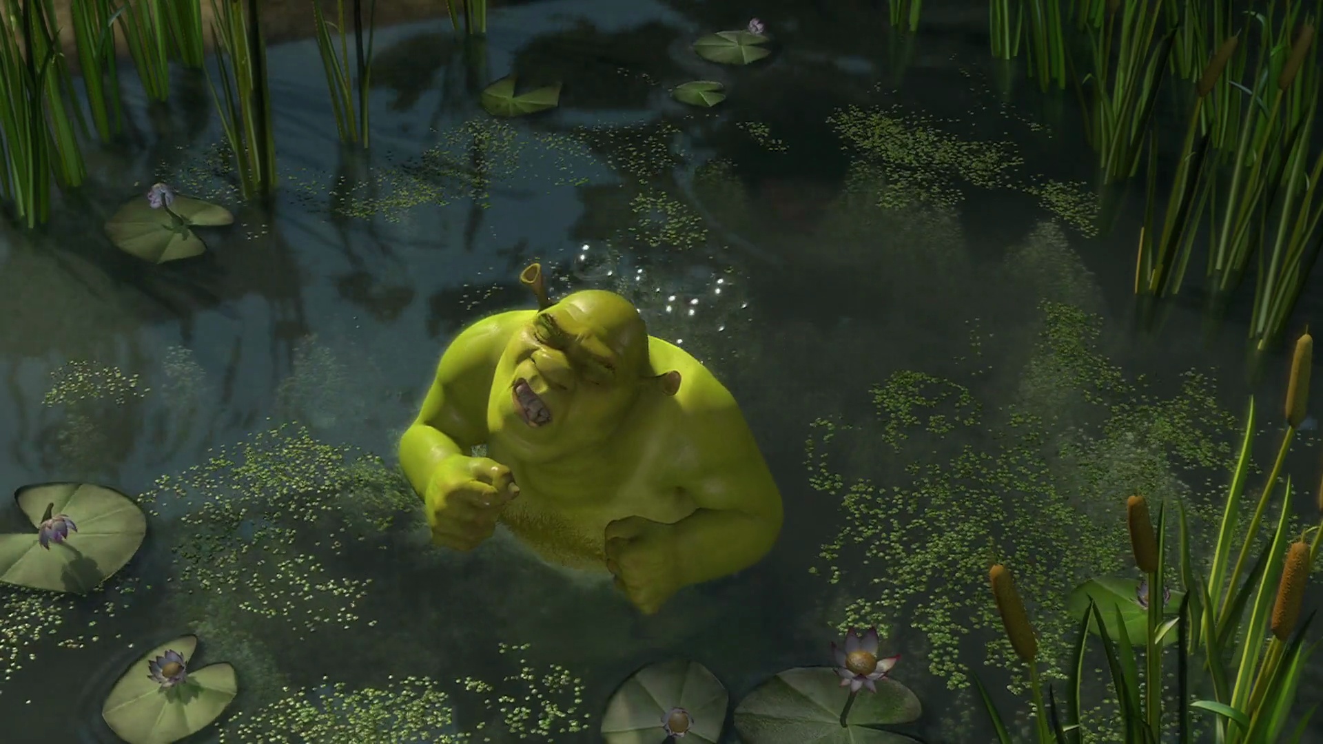 Shrek 1 Wallpapers - Wallpaper Cave