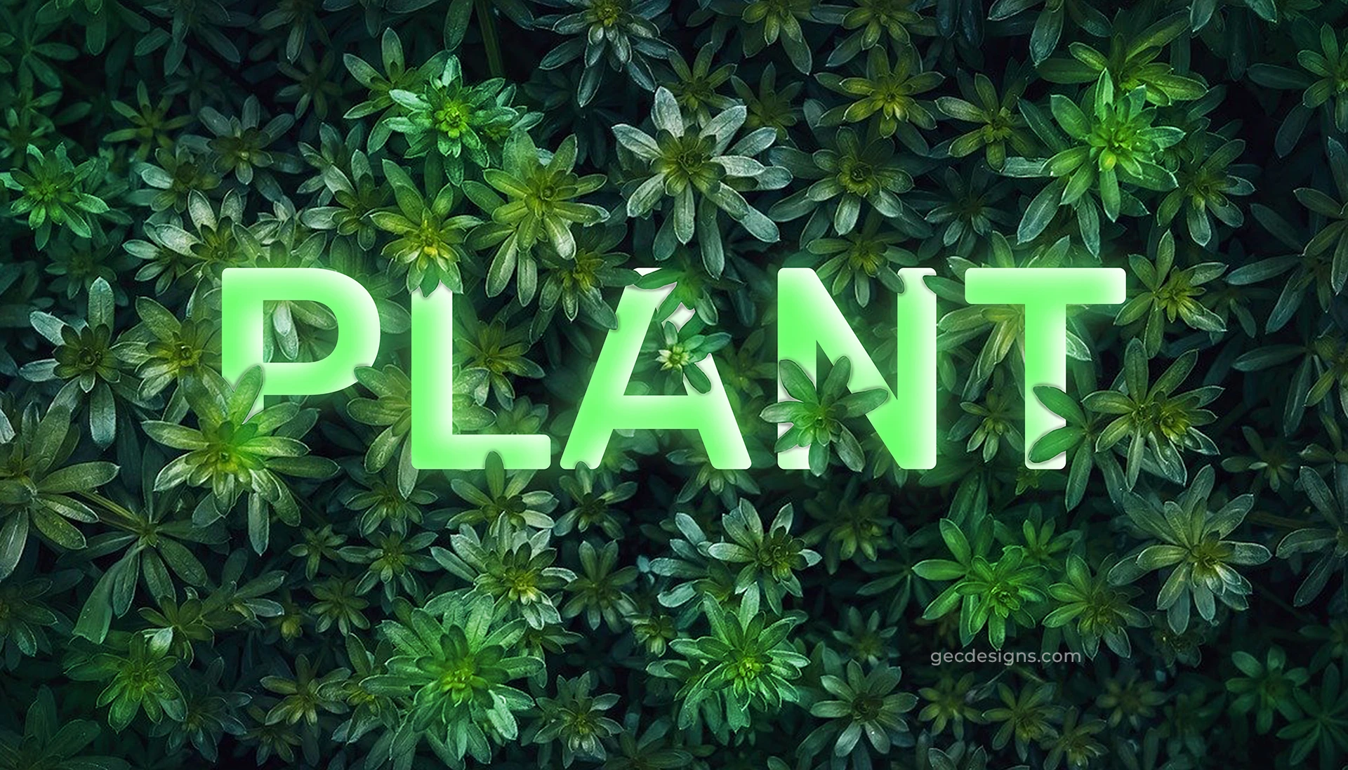 Single Word Wallpapers - Wallpaper Cave