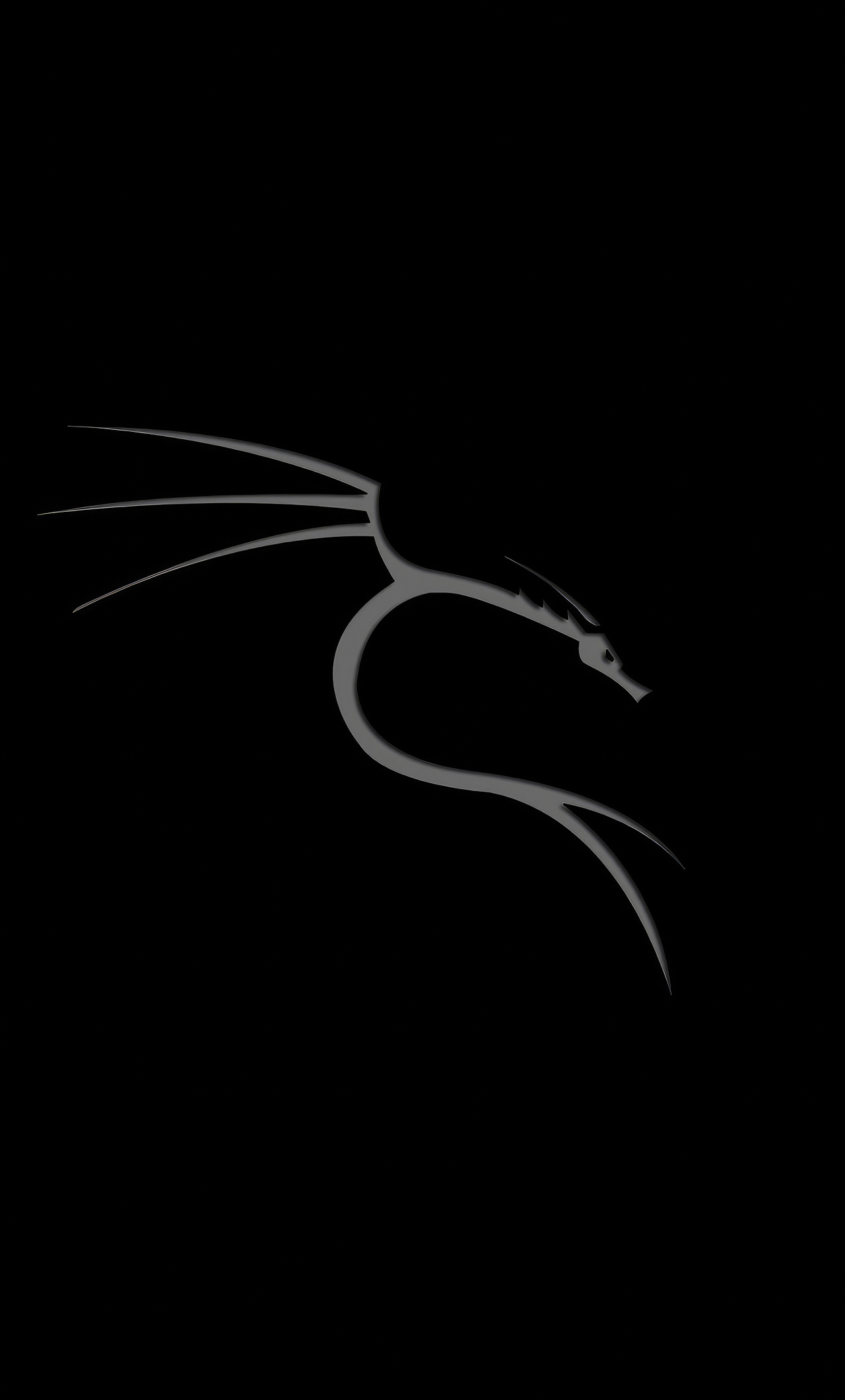 Kali Linux Dragon Wallpapers - Wallpaper Cave
