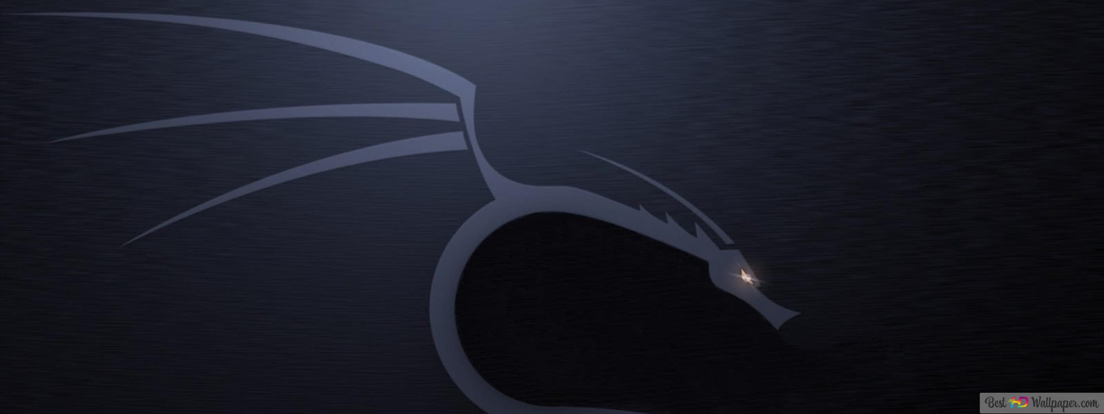 Kali Linux Dragon Wallpapers - Wallpaper Cave