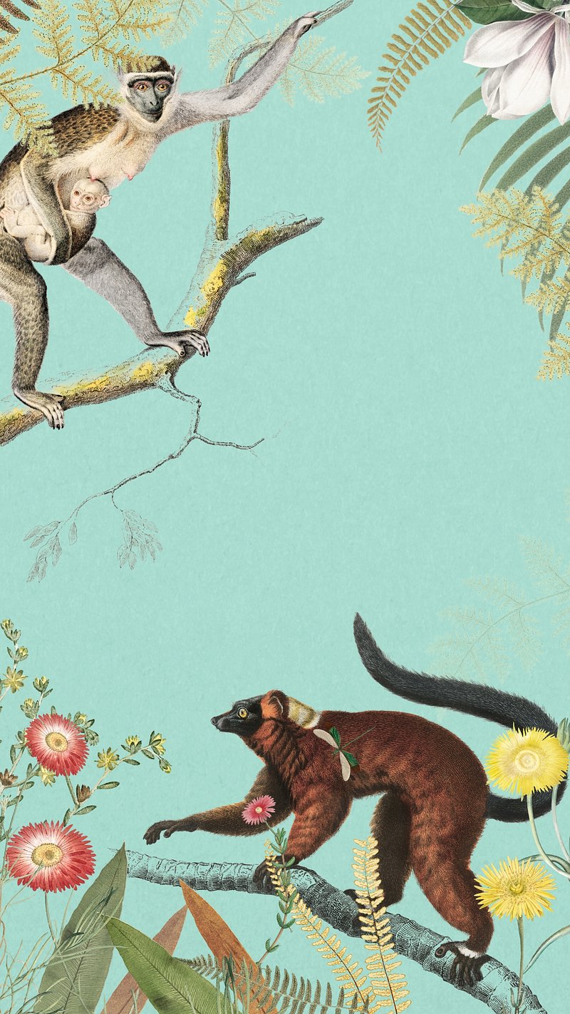 Monkey Mobile Wallpapers - Wallpaper Cave