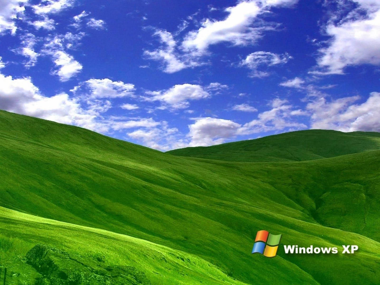 Windows XP Default Wallpapers - Wallpaper Cave