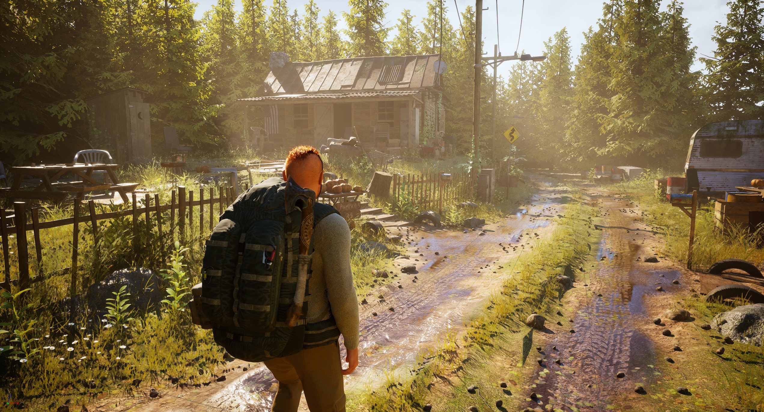 Rooted Wallpapers - Wallpaper Cave