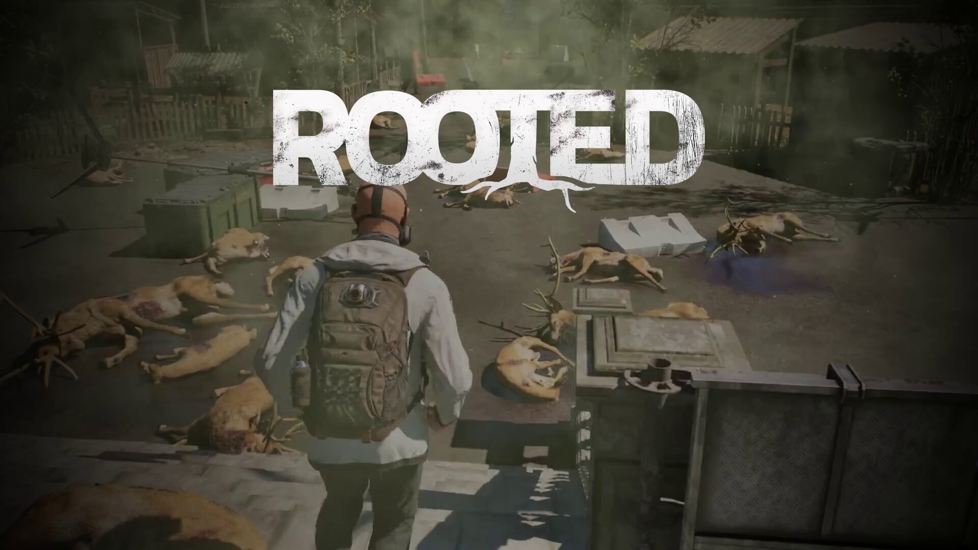 Rooted Wallpapers - Wallpaper Cave