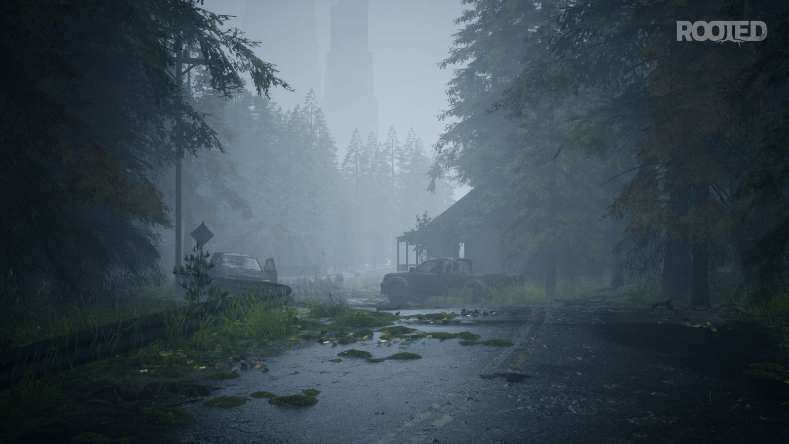 Rooted Wallpapers - Wallpaper Cave