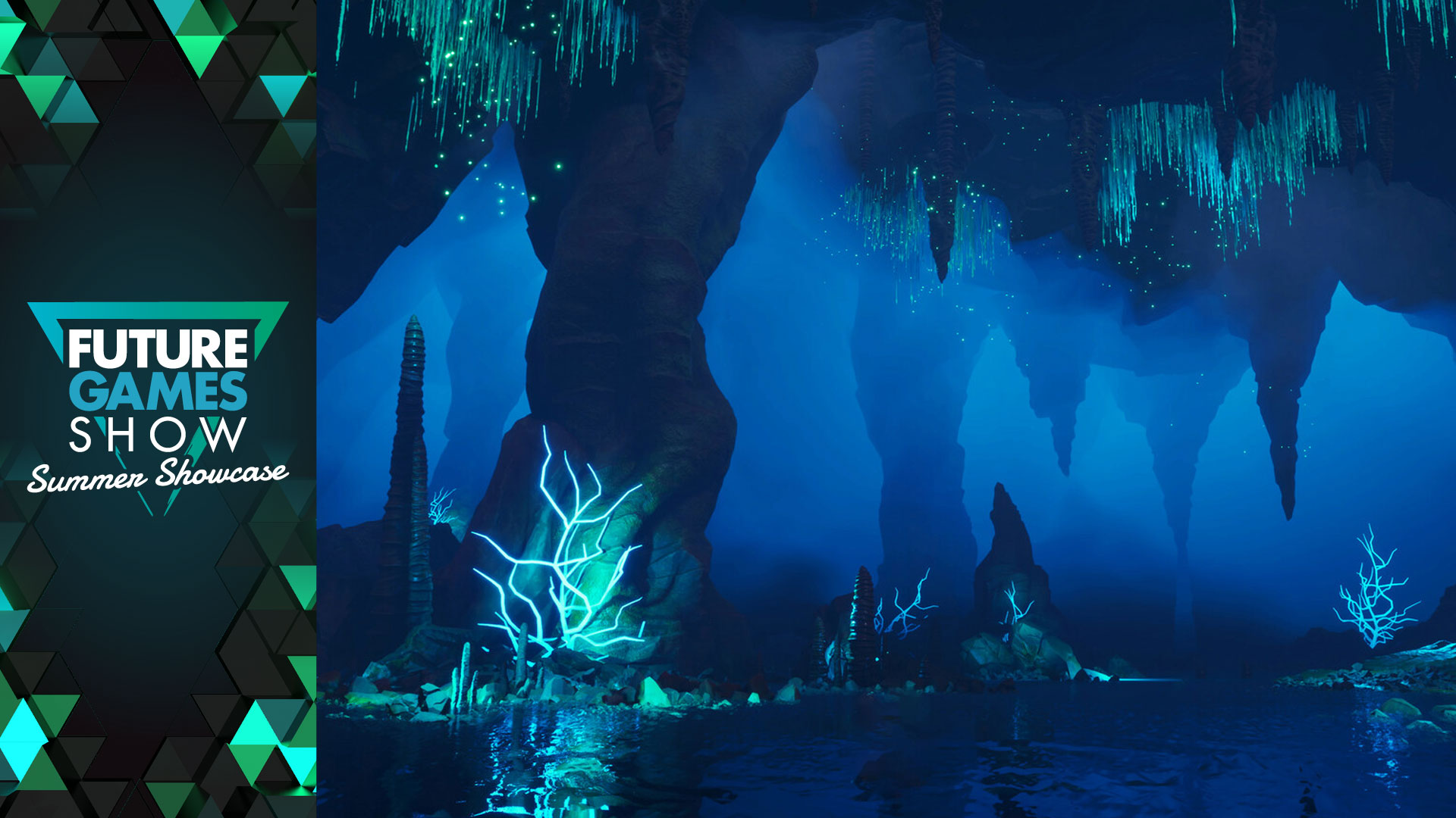 Rooted Wallpapers - Wallpaper Cave