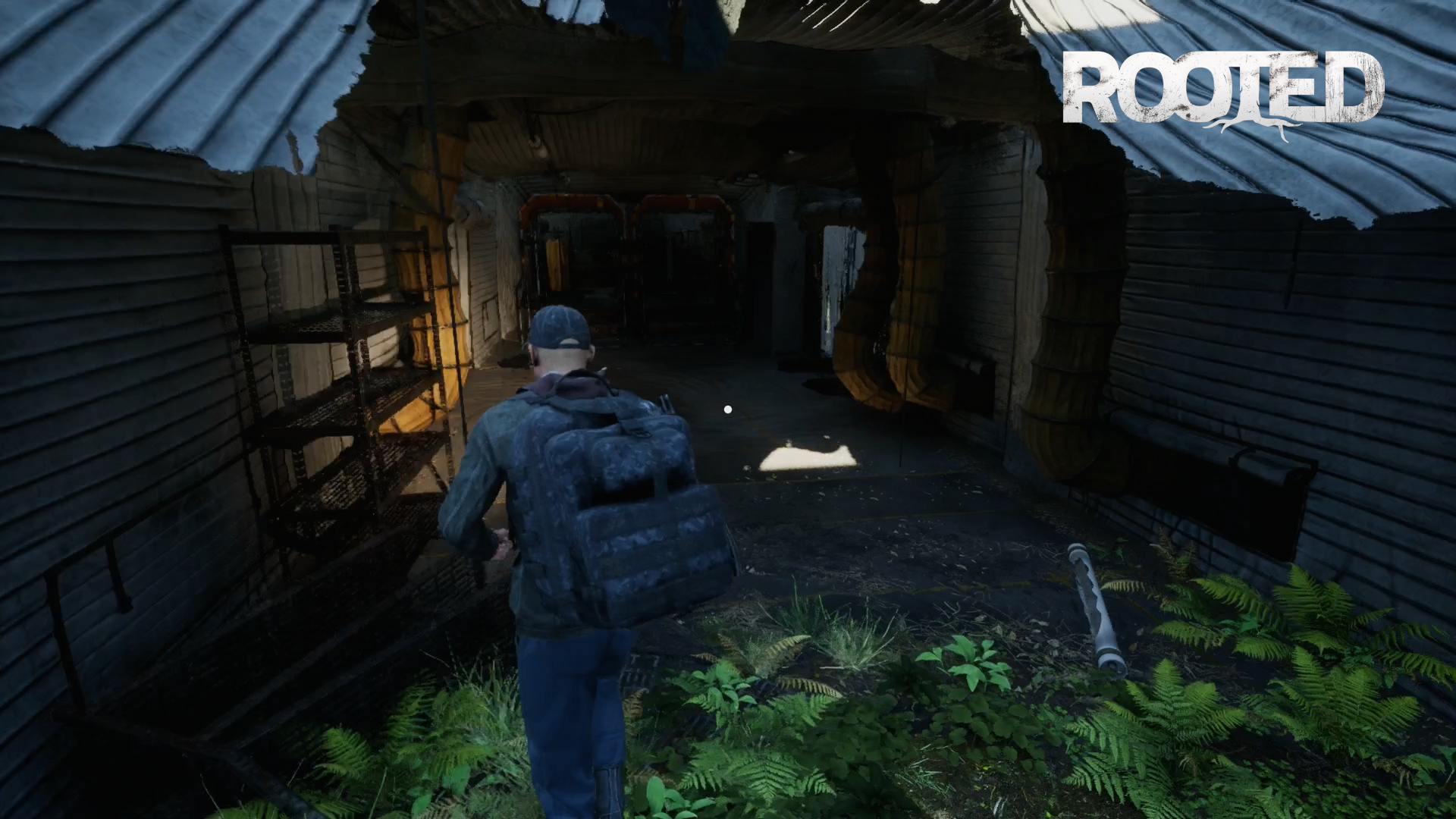 Rooted Wallpapers - Wallpaper Cave