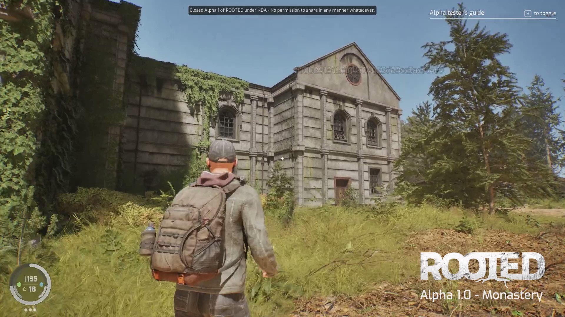 Rooted Wallpapers - Wallpaper Cave