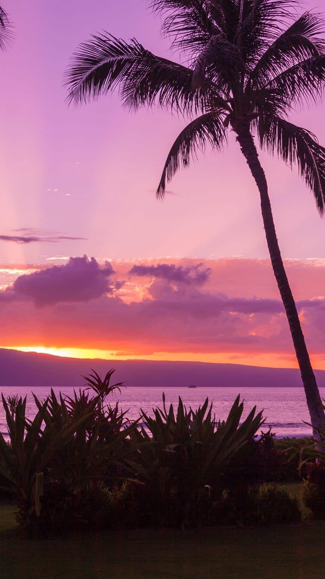 Ocean Sunset iPhone Wallpapers - Wallpaper Cave